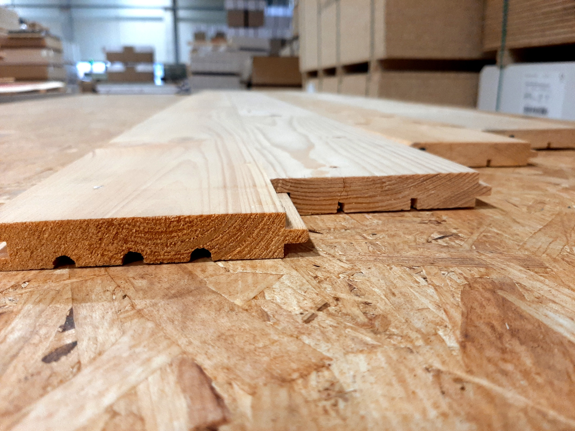 Brodski pod JELA/SMREKA C, C faza - Jer kad trebate drvo, trebate nas ...