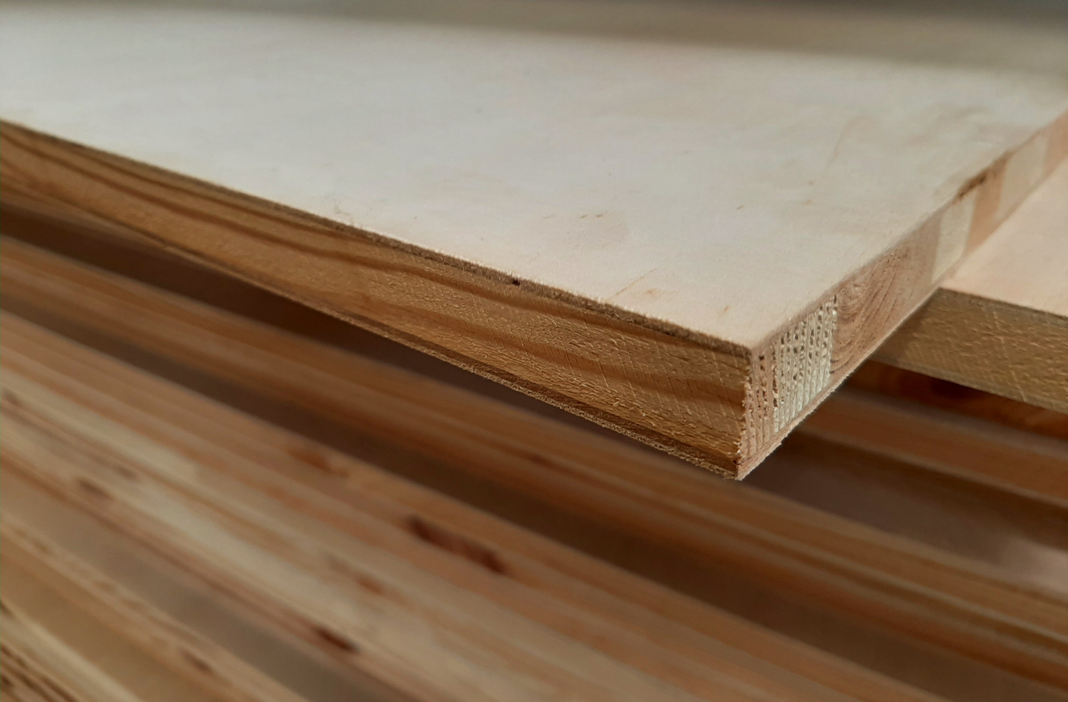 PANEL PLOČA – OBIČNA - Jer kad trebate drvo, trebate nas - (OSB ...